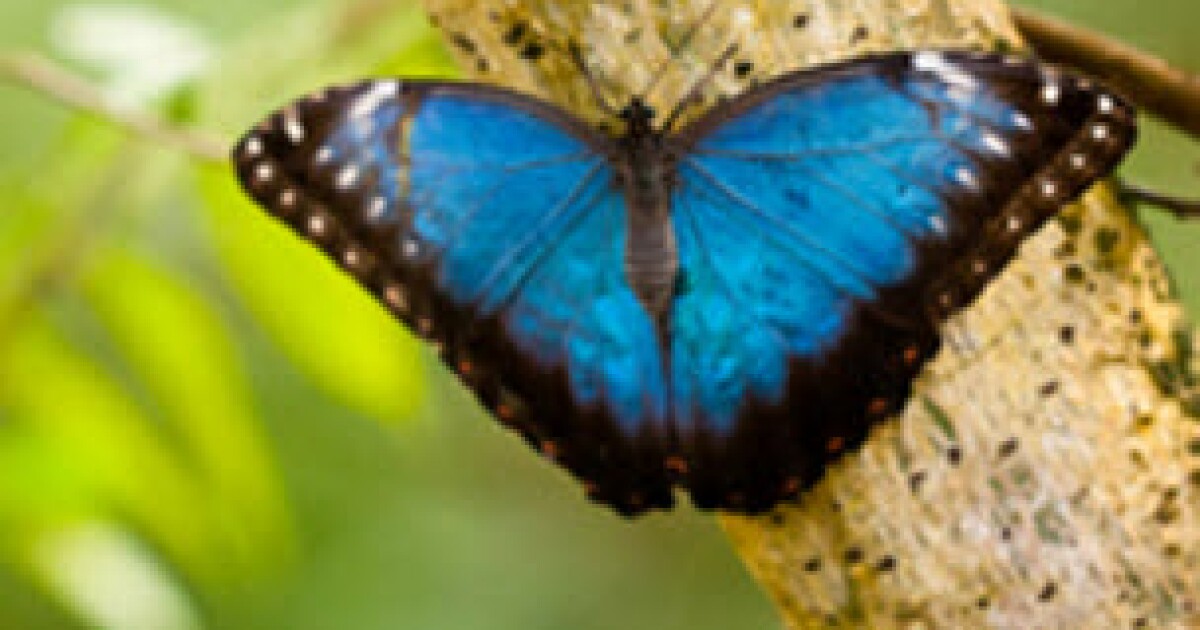 The Power of Small and Simple Things