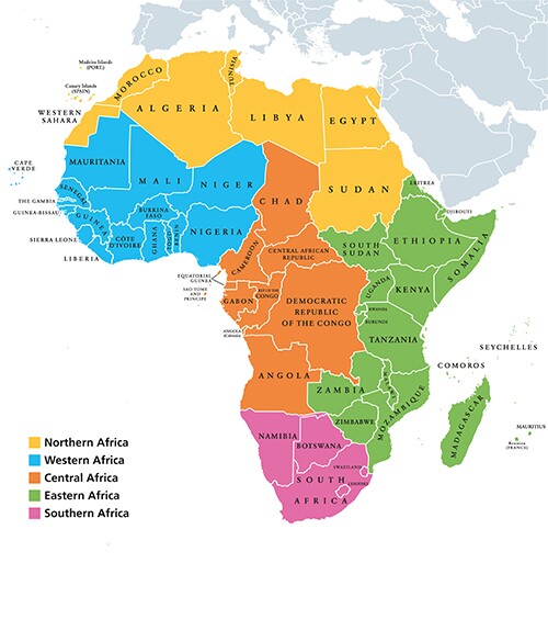 Learn All about African Heritage!