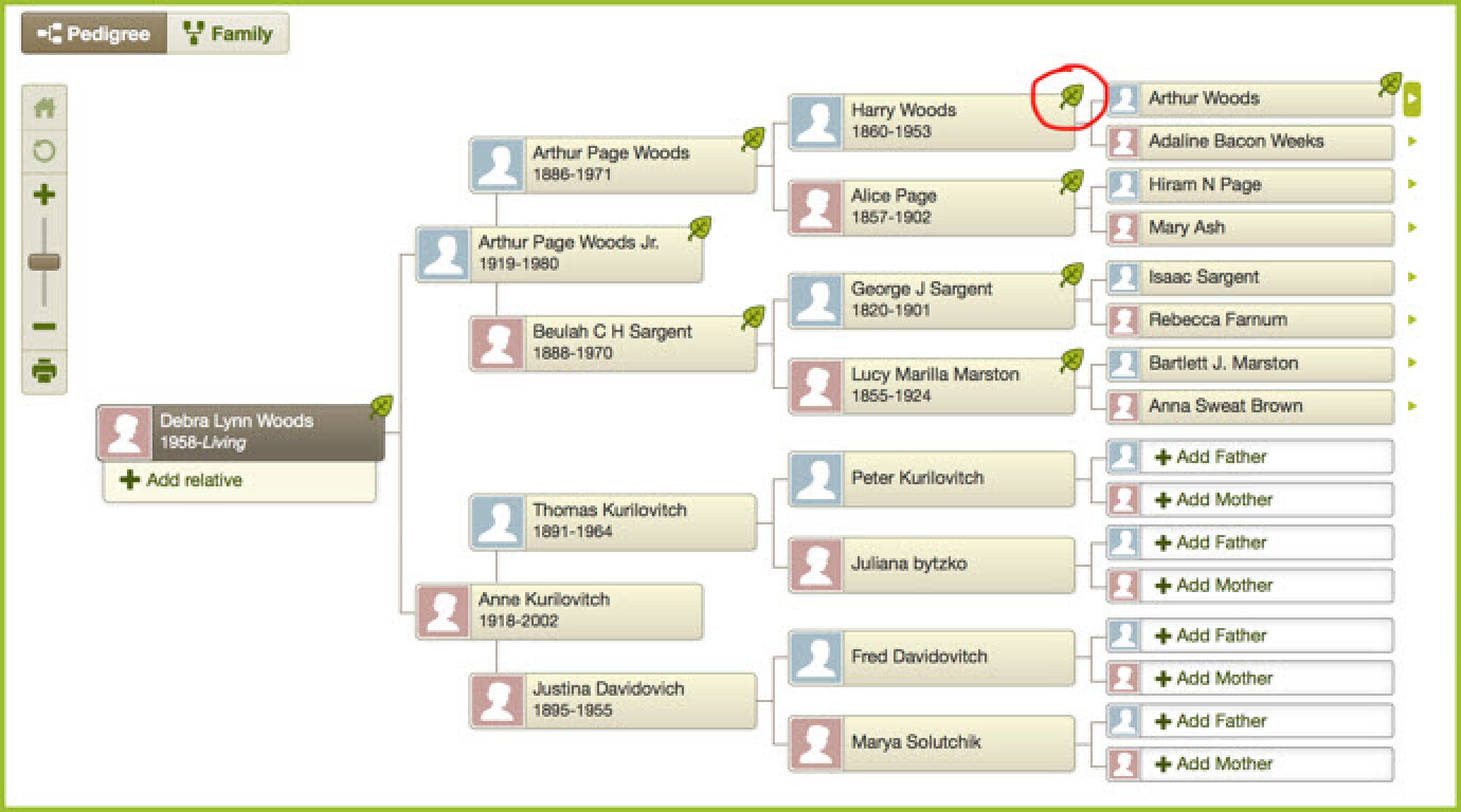 How to Create a New Tree on Ancestry.com by Importing Four Generations ...